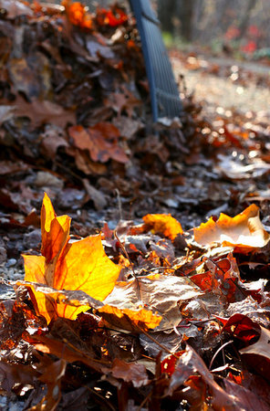 4 Must Do Outdoor Activities For Fall | Lady Sherpa